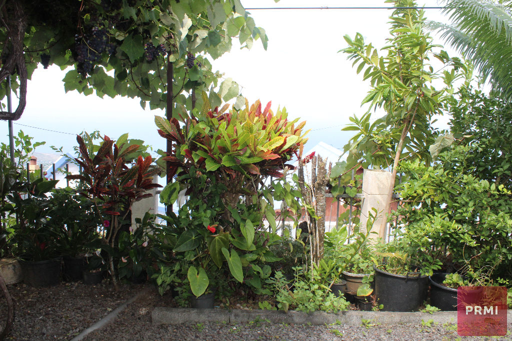 Achat maison Hauts de Saint-Leu (97416) Réunion Ouest - Réf. 4234AB